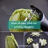 How to peel and cut prickly chayote squash, the easy way – Pro Family Chef