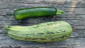 What to do with overgrown courgette, 7 easy recipes for using giant ...