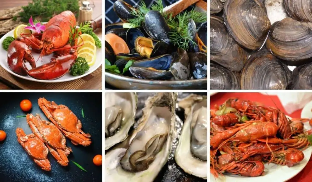 Can you cook shellfish ahead of time | reheating and storeage tips for ...